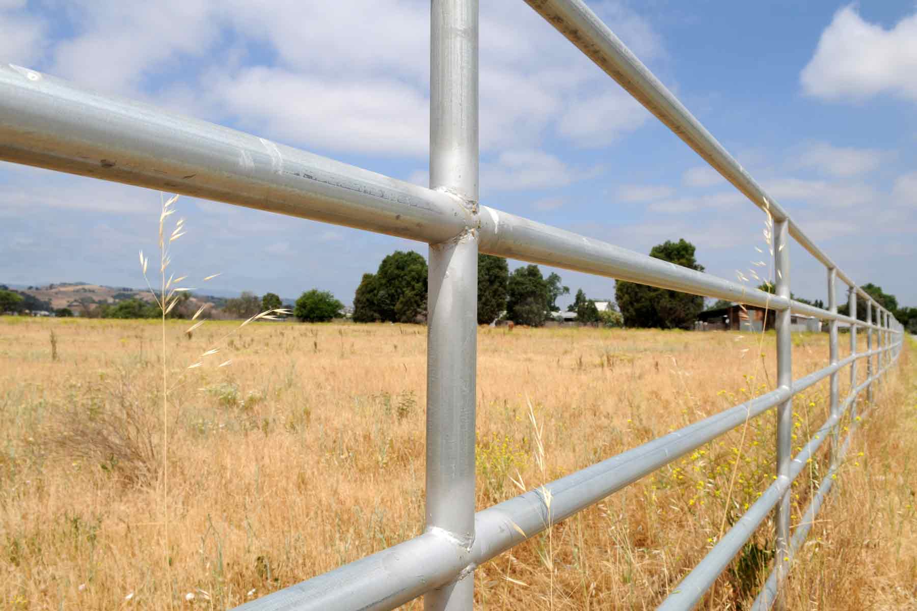 How Much Does a Pipe Fence Cost? (2026)